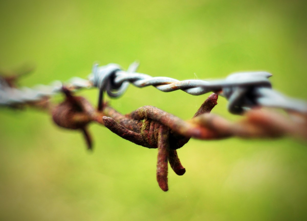 Toxic Barbed Wire Dreams – Poem#29 – National Poetry Month – Vinod Narayan